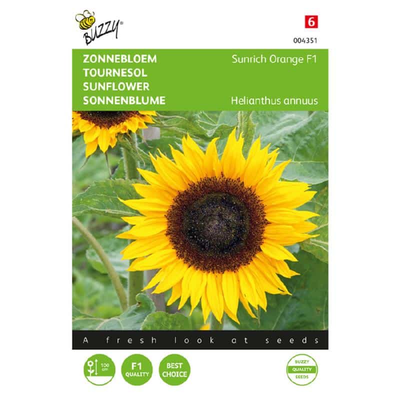 Solsikke - Sunrich Orange F1 – Bjarne's frø og planter