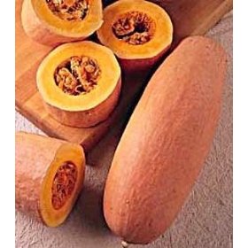 Squash - Pink banana – Bjarne's frø og planter