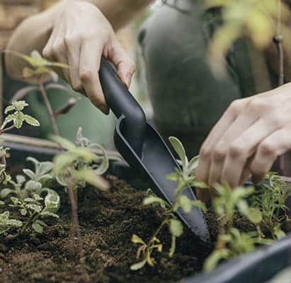 Fiskars Solid™ smal planteske – Bjarne's frø og planter