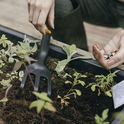 Fiskars Solid™ kultivator – Bjarne's frø og planter