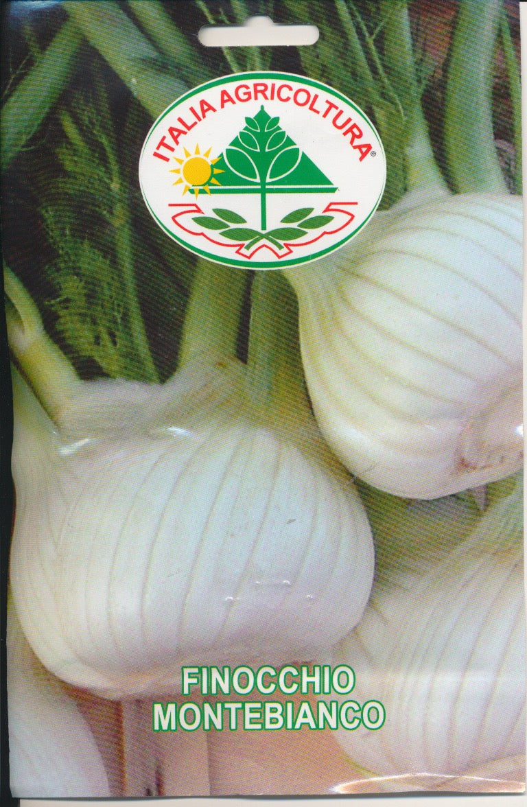 Knoldfennikel - Finnochio Montebianco – Bjarne's frø og planter
