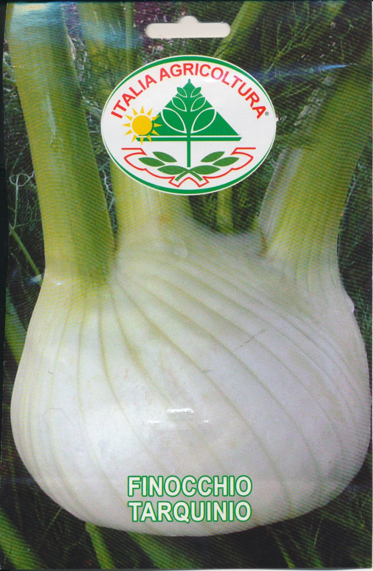 Knoldfennikel - Finoccio Tarquinio – Bjarne's frø og planter