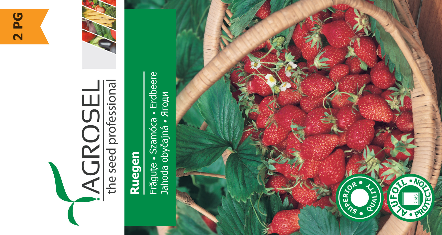Jordbær - Ruegen – Bjarne's frø og planter