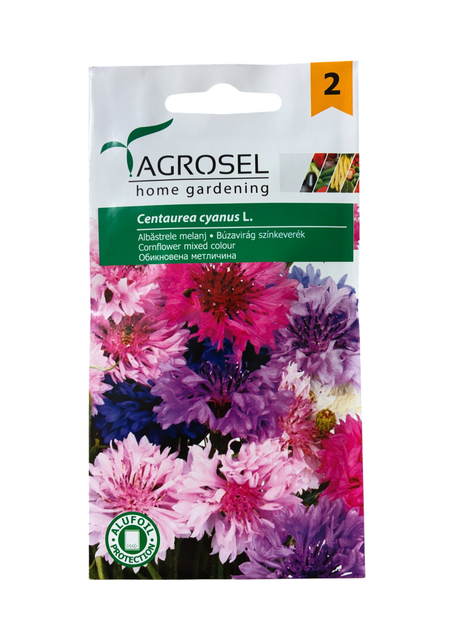 Kornblomst - Centaurea Cyanus L. - pg2 – Bjarne's frø og planter
