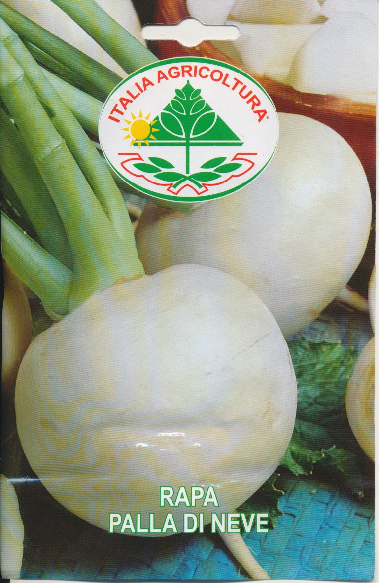 Kål, Majroe - Palla di Neve – Bjarne's frø og planter