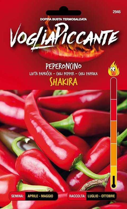 Shakira - C. annuum – Bjarne's frø og planter