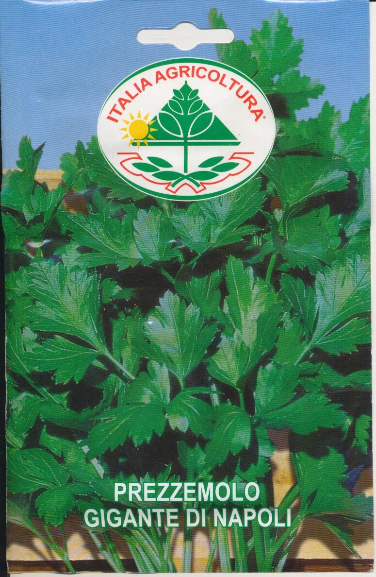 Persille - Gigante Di Napoli – Bjarne's frø og planter