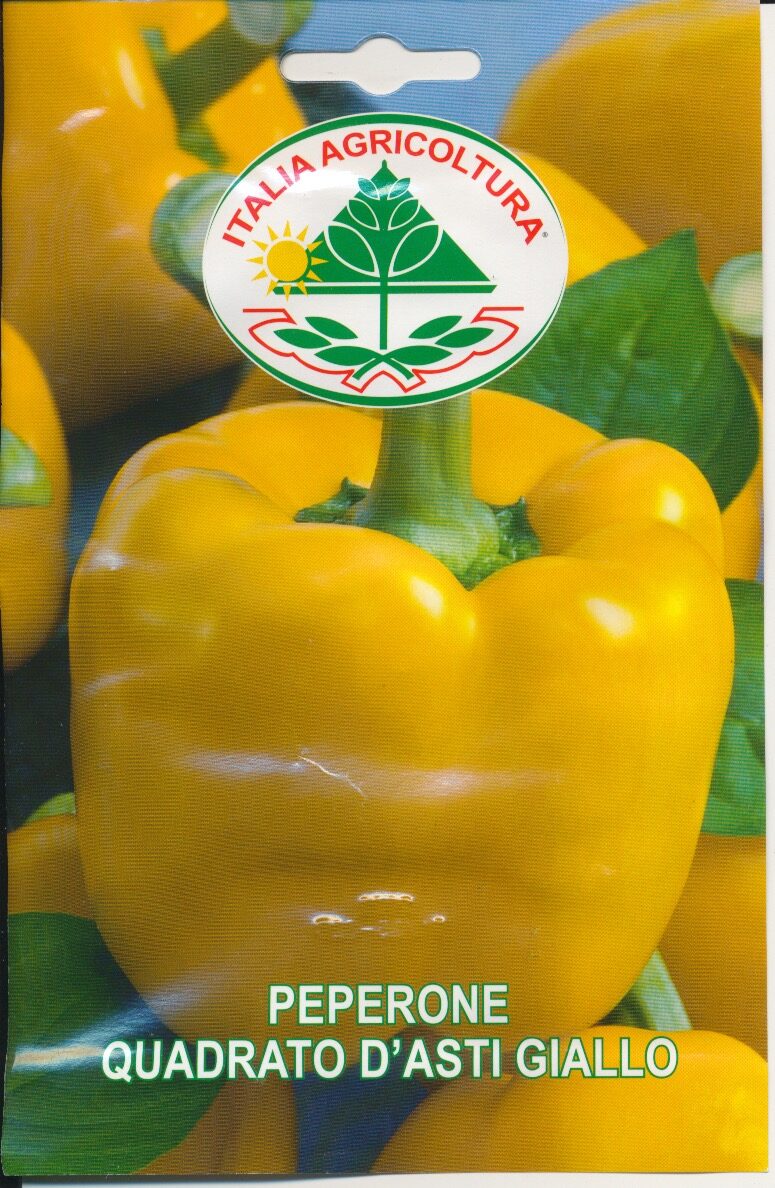 Peber, sød - Quadrato D'Asti Giallo – Bjarne's frø og planter