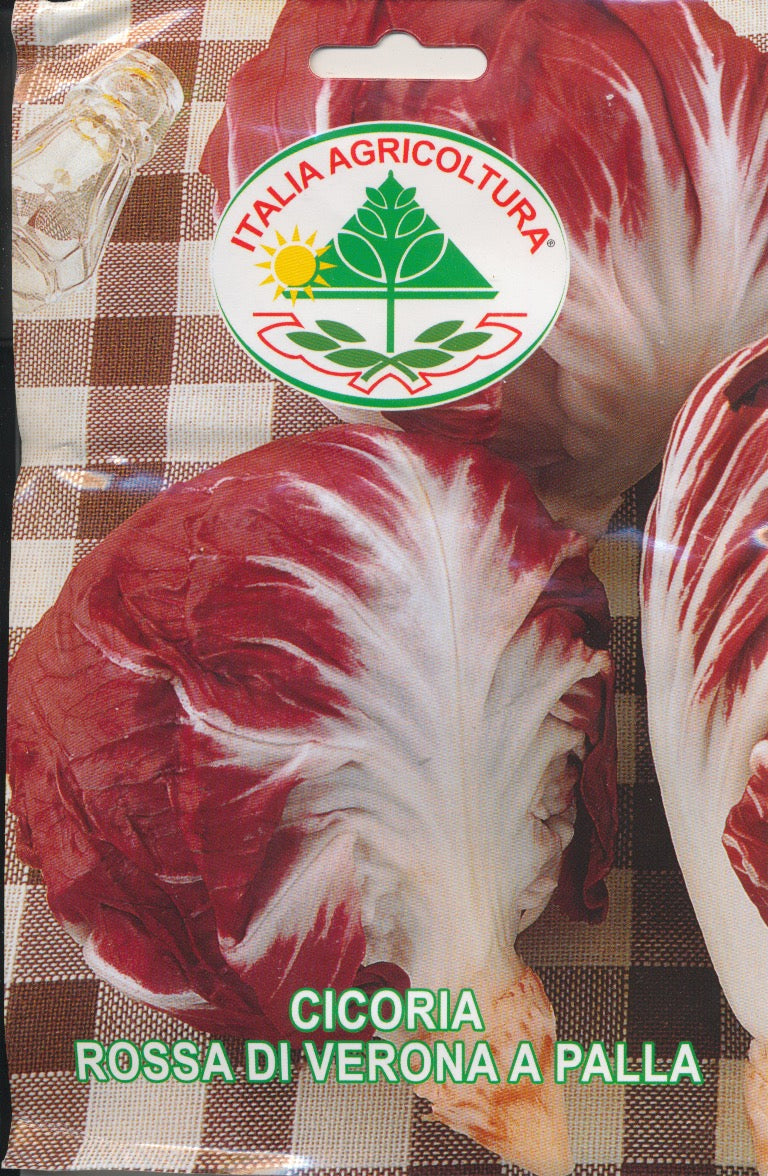 Cikorie - Rossa Di Verona Palla – Bjarne's frø og planter