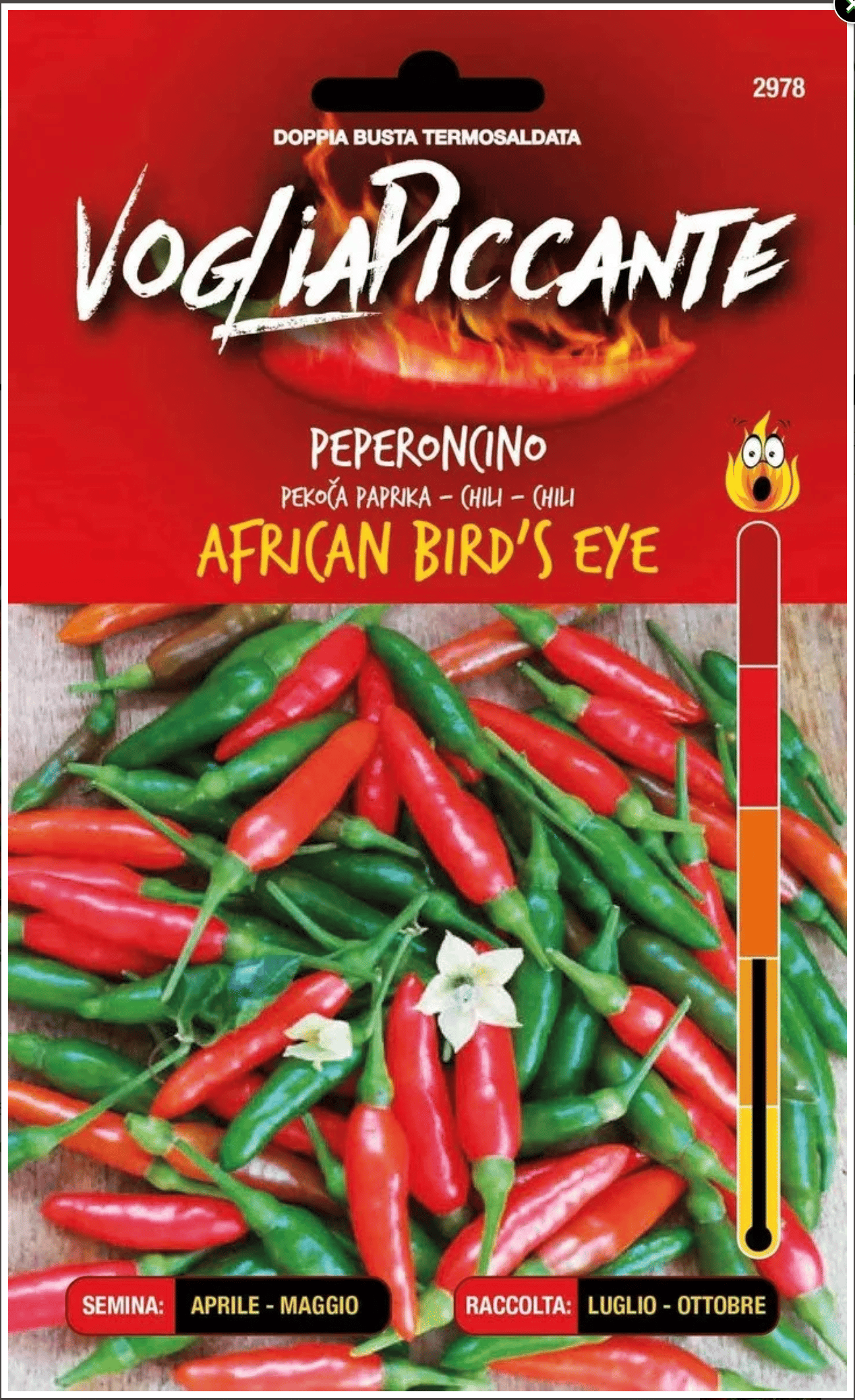 African Birds Eye - C. frutescens – Bjarne's frø og planter