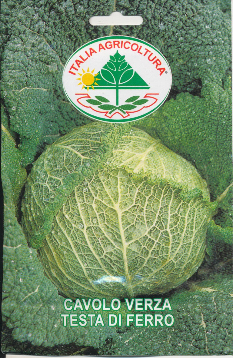Kål, Savoy - Testa Di Ferro – Bjarne's frø og planter