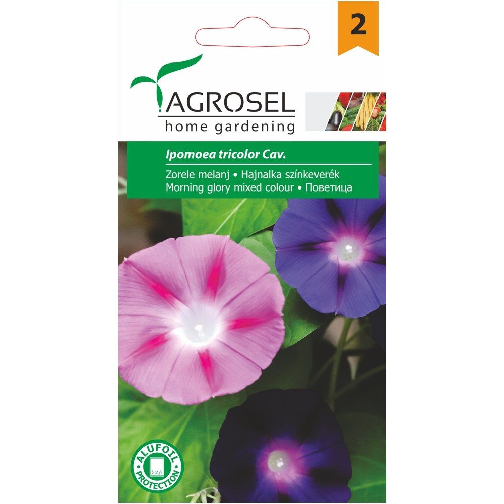Tragtsnerle mix - Ipomoea tricolor cav – Bjarne's frø og planter