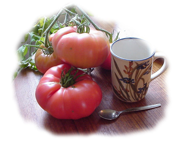 Caspian Pink – Bjarne's frø og planter