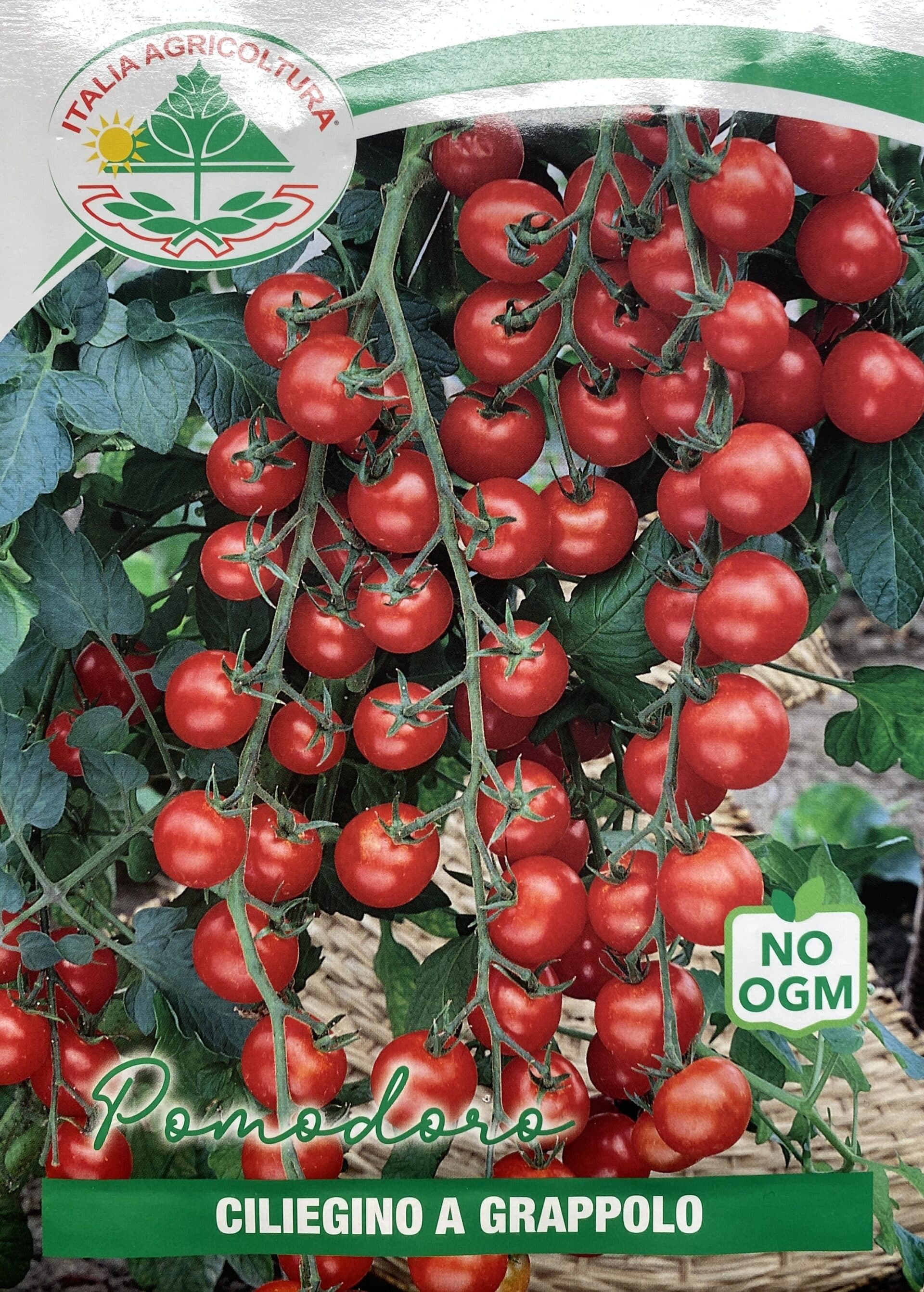 Cherrytomat - Ciliecino a Grappolo - Solanum Lycopersicum L - Italia ...