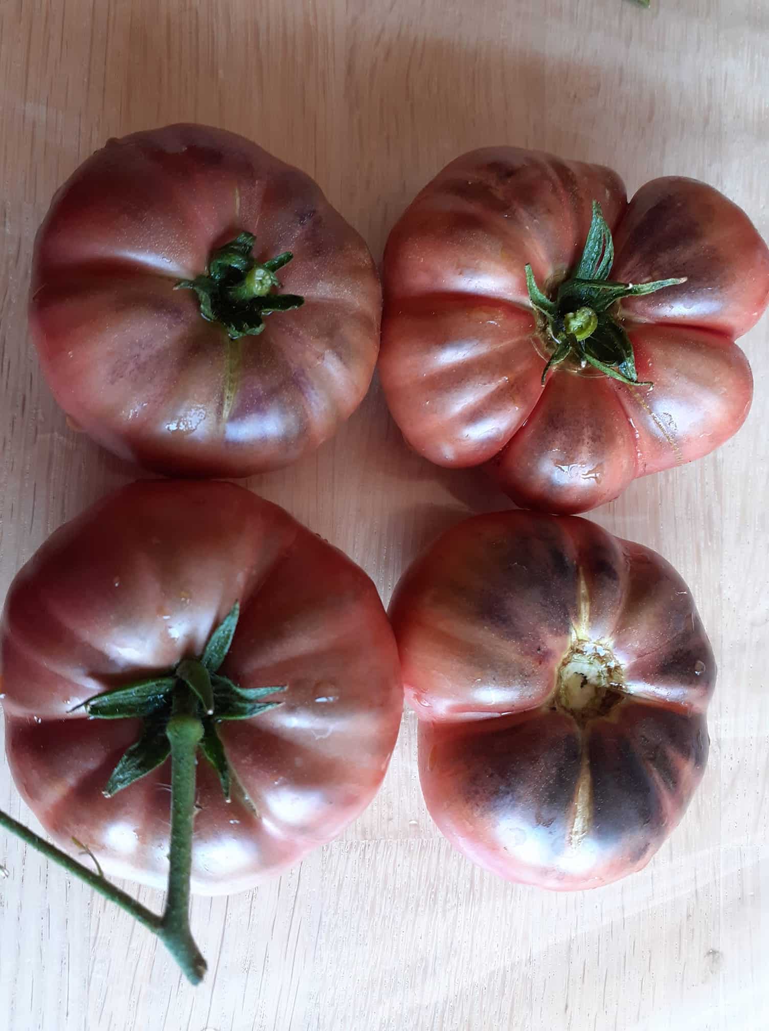 Tomat - Dirty Curty – Bjarne's frø og planter