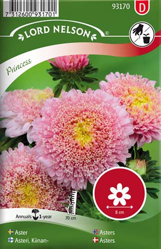 Asters, Sommer-, Princess, rosa – Bjarne's frø og planter