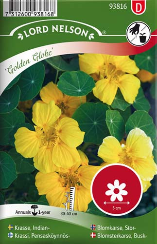 Blomsterkarse, Busk-, Golden Globe, gul – Bjarne's frø og planter