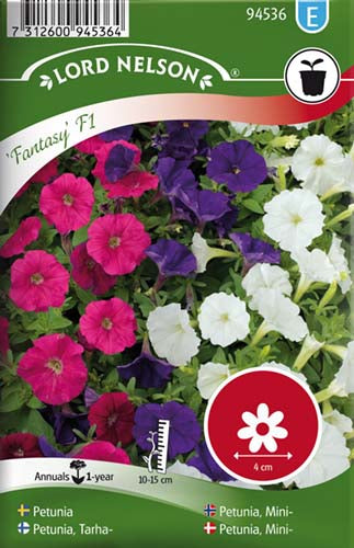 Petunia, Mini-, Fantasy F1, bl. farver – Bjarne's frø og planter