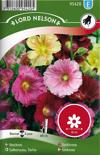 Stokrose, Have-, Enkelt, bl. farver – Bjarne's frø og planter