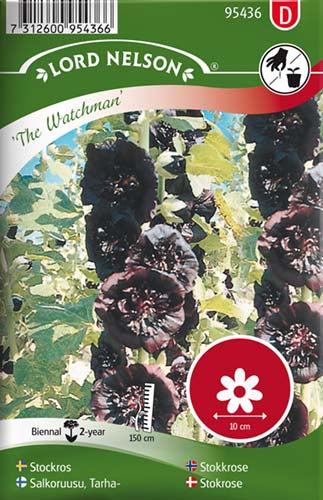 Stokrose, Have-, The Watchman, sortrød – Bjarne's frø og planter