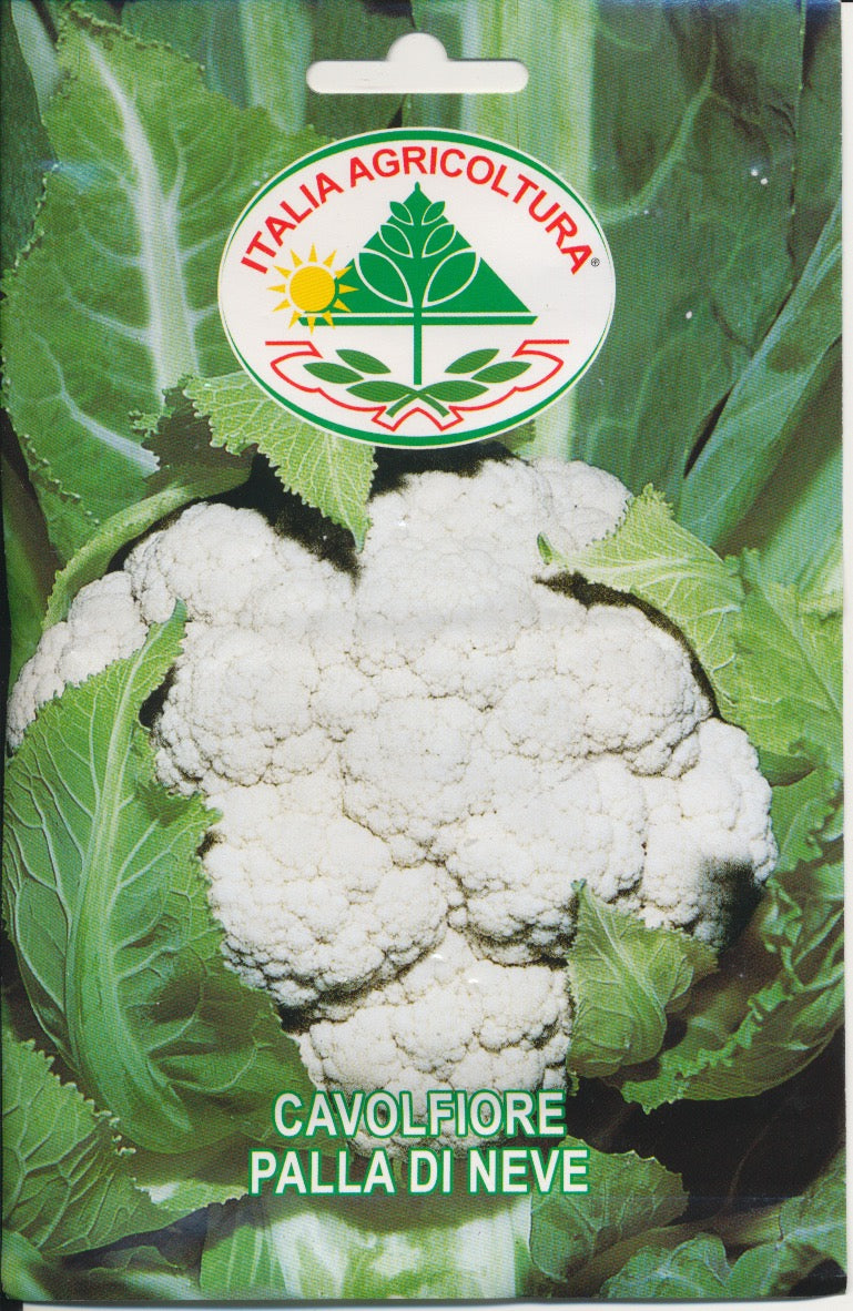 Kål, Blomkål - Palla Di Neve – Bjarne's frø og planter