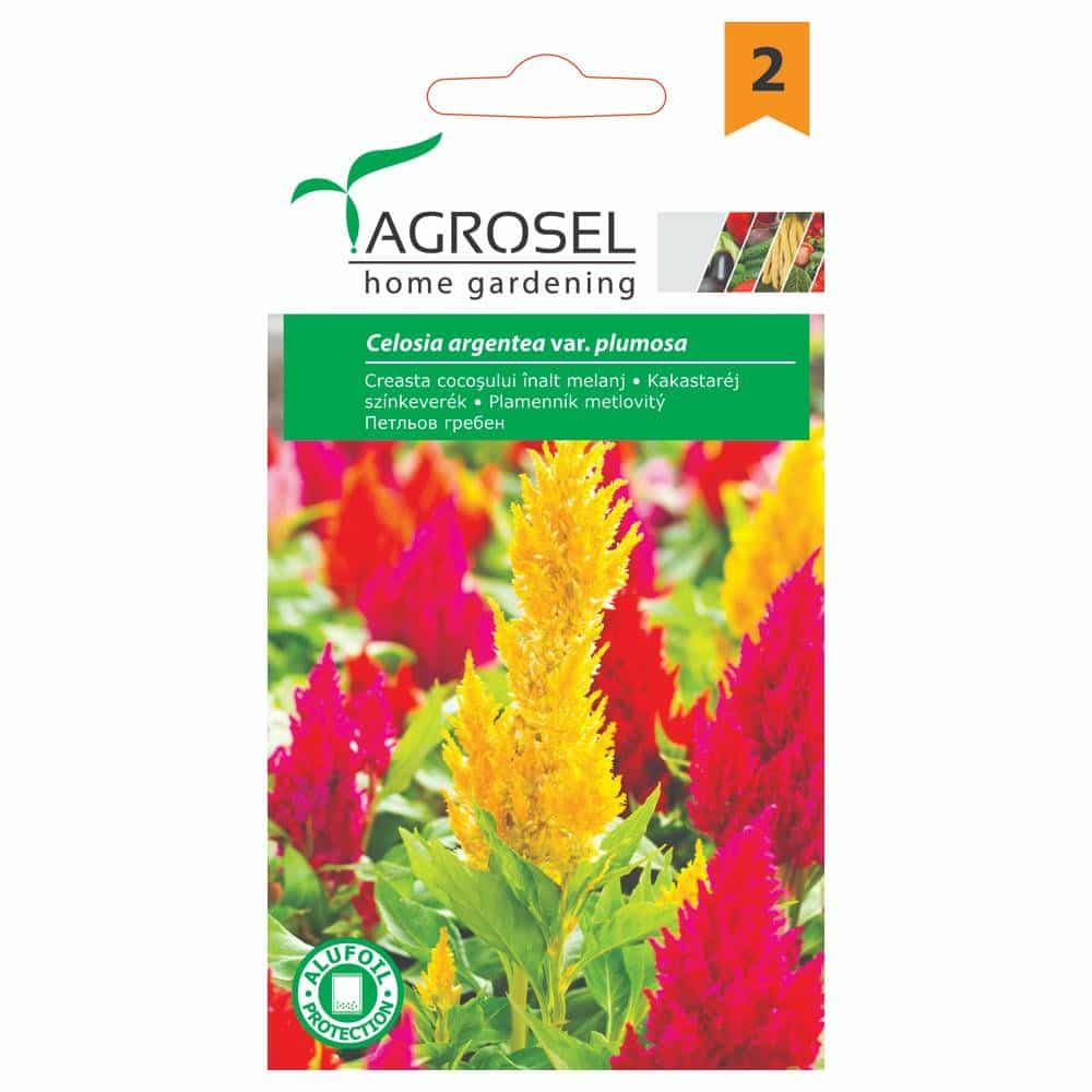 Hanekam - Celosia argentea plumosa – Bjarne's frø og planter